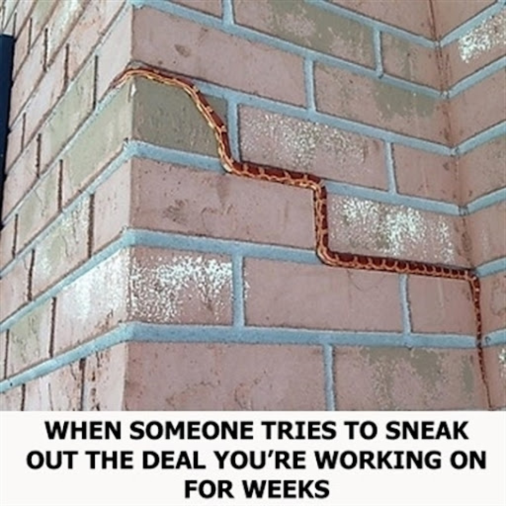 16 Hilarious Memes About Buying, Selling & Owning a Home 2023